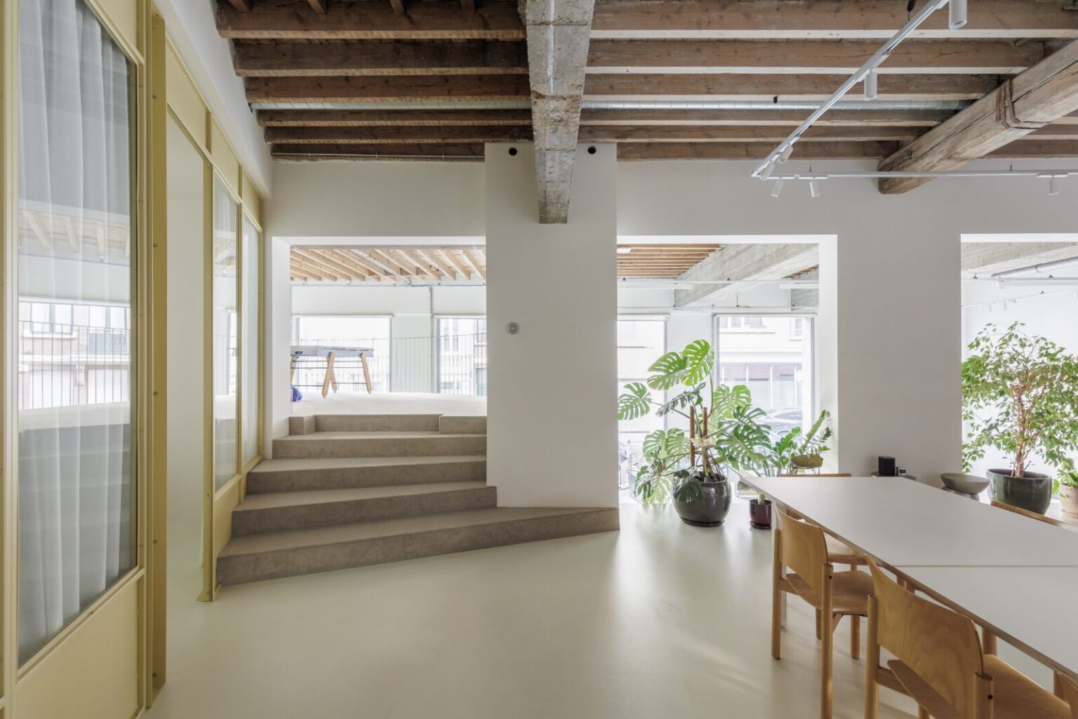 Case: Studio Plankton - Project Nekton